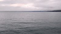 Impressionism GIFs - Obtenez le meilleur gif sur GIFER