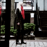 Horns GIF - Conseguir o melhor gif em GIFER