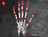 Motion capture GIFs - Get the best gif on GIFER