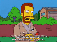 Severe GIFs - Get the best gif on GIFER