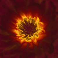 Vortex GIFs - Get the best gif on GIFER