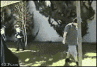 Owned GIFs - Get the best gif on GIFER
