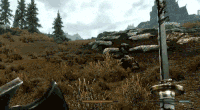 Skyrim Dragon Glitch Gif