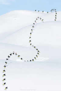 Skier GIFs - Get the best gif on GIFER