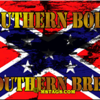 Southern GIFs - Get the best gif on GIFER