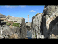 Roche GIFs - Get the best gif on GIFER