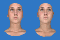 Plastic GIFs - Get the best gif on GIFER