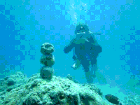 Snorkeling GIFs - Get the best gif on GIFER