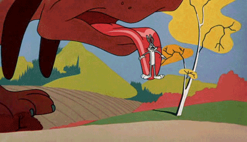 Lumber jack rabbit GIF - Conseguir el mejor gif en GIFER