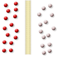 Equilibrium GIFs - Get the best gif on GIFER