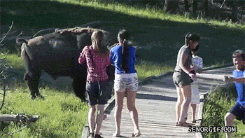 Charges people GIF - Conseguir o melhor gif em GIFER