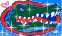 Gator GIFs - Get the best gif on GIFER