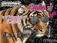 Pimps GIFs - Get the best gif on GIFER