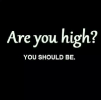 420 GIFs - Get the best gif on GIFER