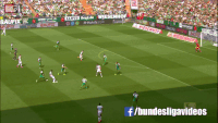 Bremen GIFs - Get the best gif on GIFER
