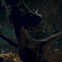 Smaug GIFs - Get the best gif on GIFER