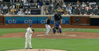 Umpires GIFs - Get the best gif on GIFER