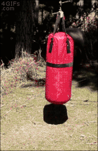 Ram GIFs - Get the best gif on GIFER