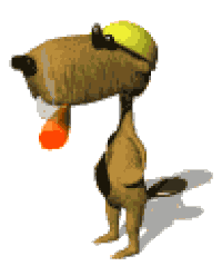 Castor GIFs - Get the best gif on GIFER