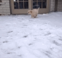 Tempo GIFs - Get the best gif on GIFER