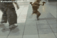 Leaving GIFs - Get the best gif on GIFER