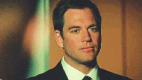 Gibbs GIFs - Get the best gif on GIFER