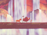 Safari GIFs - Get the best gif on GIFER