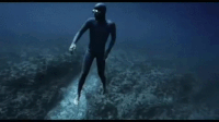 Diver GIFs - Get the best gif on GIFER