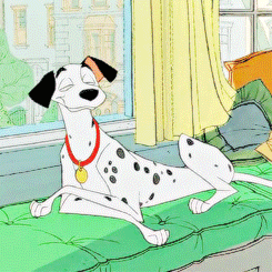 Obliged GIFs - Get the best gif on GIFER