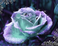 Shiny GIFs - Get the best gif on GIFER