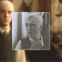 Hbp GIFs - Get the best gif on GIFER