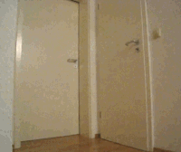 Boa GIFs - Get the best gif on GIFER