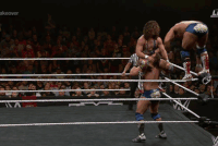 Nxt GIFs - Get the best gif on GIFER