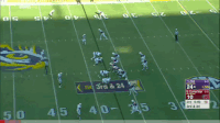 Lsu GIFs - Get the best gif on GIFER