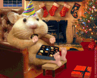 Hamster GIFs - Get the best gif on GIFER
