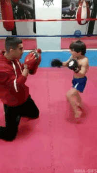 Boxing GIFs - Get the best gif on GIFER