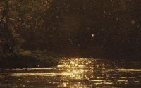 Swamp GIFs - Get the best gif on GIFER