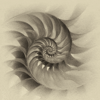 Fibonacci GIFs - Get the best gif on GIFER