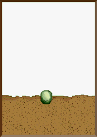 Plant GIFs - Get the best gif on GIFER