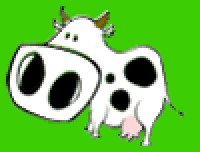 Cow GIFs - Get the best gif on GIFER