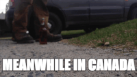 Lumber GIFs - Get the best gif on GIFER