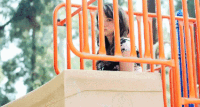 Insurance GIFs - Get the best gif on GIFER