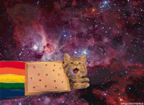 Flying cats GIF - Conseguir o melhor gif em GIFER