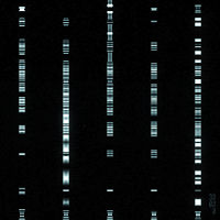 Pulse GIFs - Get the best gif on GIFER