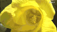 Landings GIFs - Get the best gif on GIFER