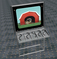 Displays GIFs - Get the best gif on GIFER