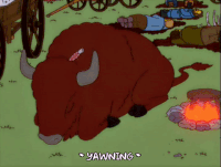 Bostezo GIFs - Get the best gif on GIFER