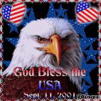 America GIFs - Get the best gif on GIFER