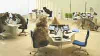 Desks GIFs - Get the best gif on GIFER
