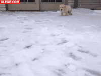 Jugando GIFs - Get the best gif on GIFER